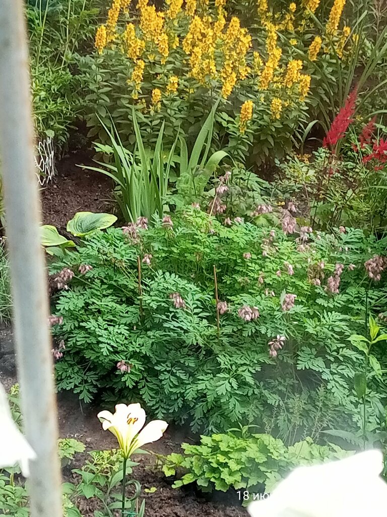 Bank Bench, Moskova, foto