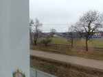 Стадион (Volgograd Region, stanitsa Nekhayevskaya), stadyum  Volgogradskaya oblastından