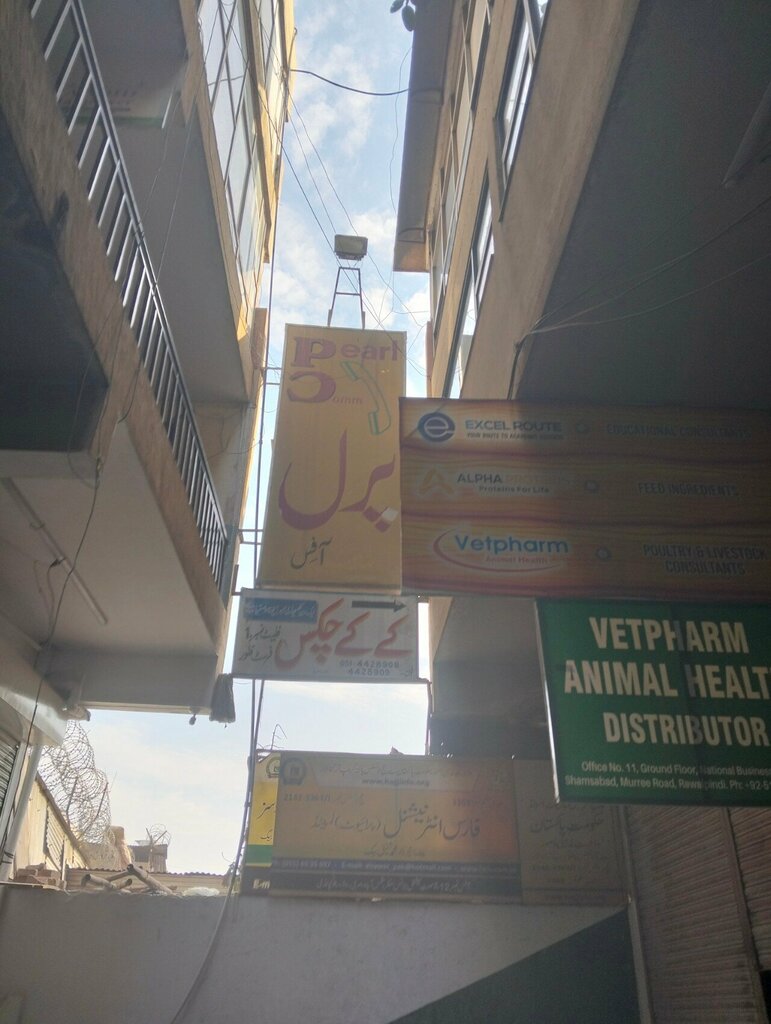 Cep telefonu aksesuarları Pearl C, Rawalpindi, foto