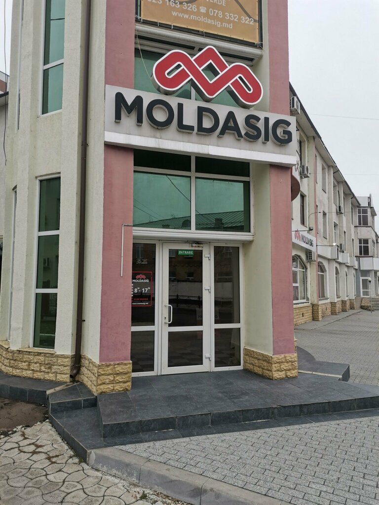 Sigorta şirketleri Moldasig, Beltsi, foto