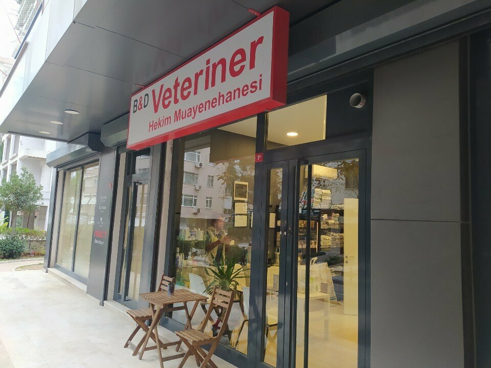 Veteriner klinikleri Bd Veteriner Hekim Muayenehanesi, İstanbul, foto