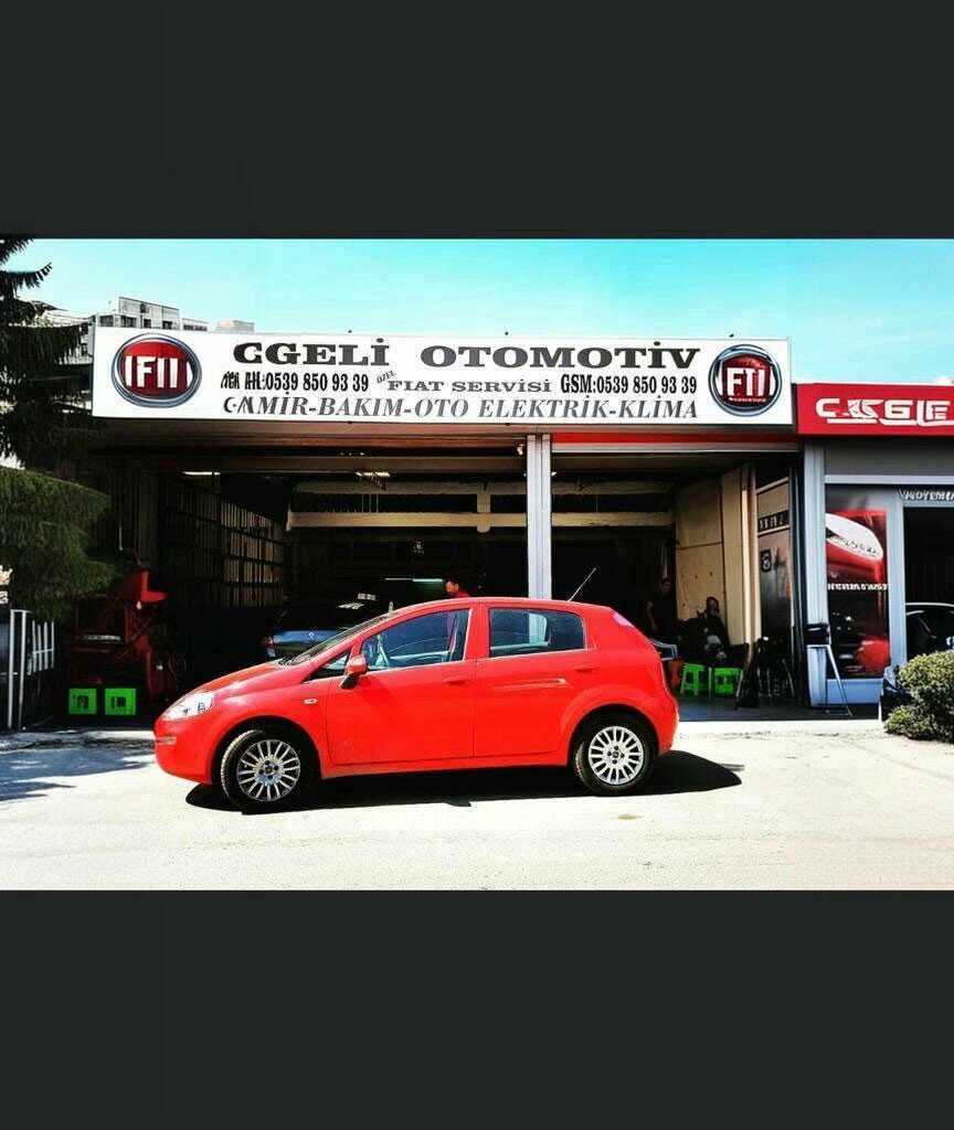 Otomobil servisi Egeli Otomotiv, Torbalı, foto