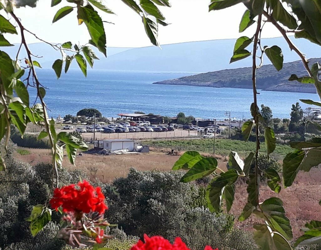 Restoran Çitlenbik Cafe & Market, Urla, foto