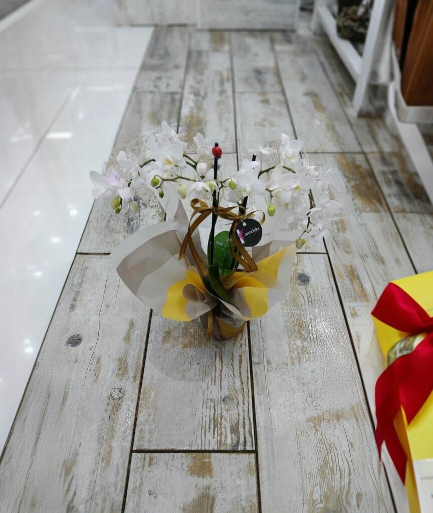 Yapay bitki ve çiçek Anadolu Çiçekçilik, Sorgun, foto