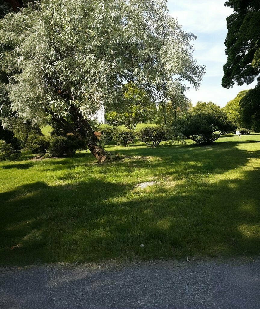 Kültür ve eğlence parkları Şeker Parkı, Ankara, foto