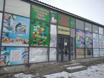 5 Element (Qanış Sätbaev Avenue No:150А), cep telefonu aksesuarları  Setbayev'den (Satpayev'den)
