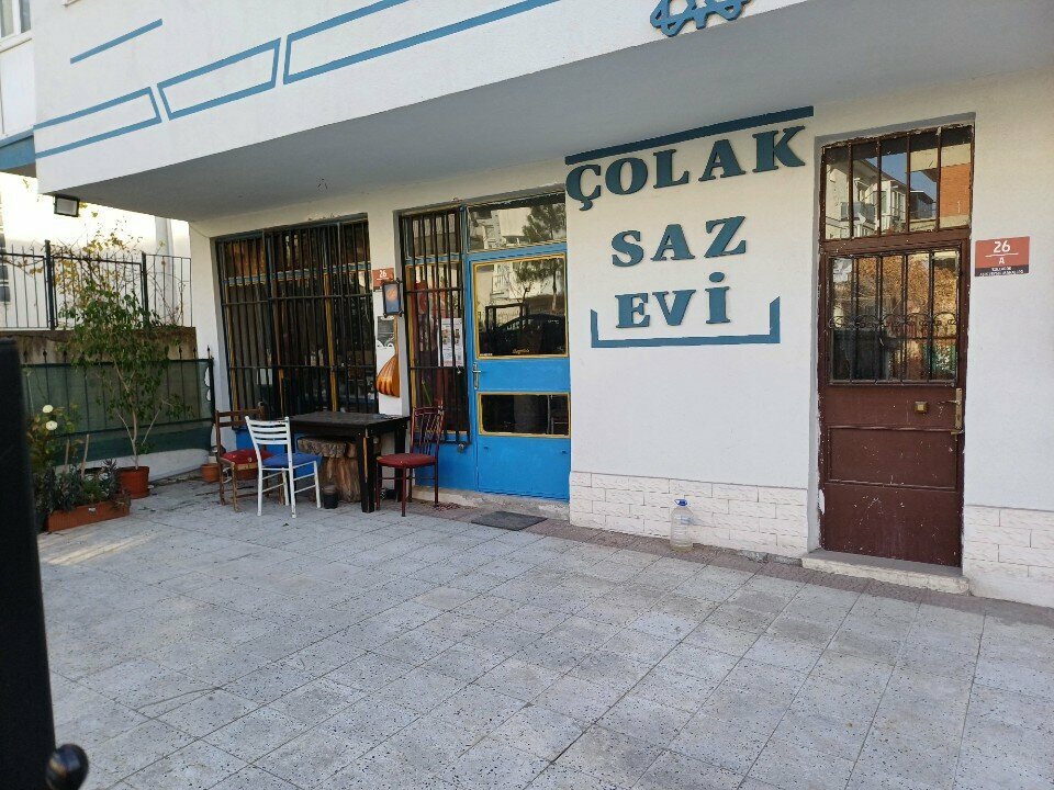 Enstrüman mağazaları Çolak Saz Evi, Ankara, foto