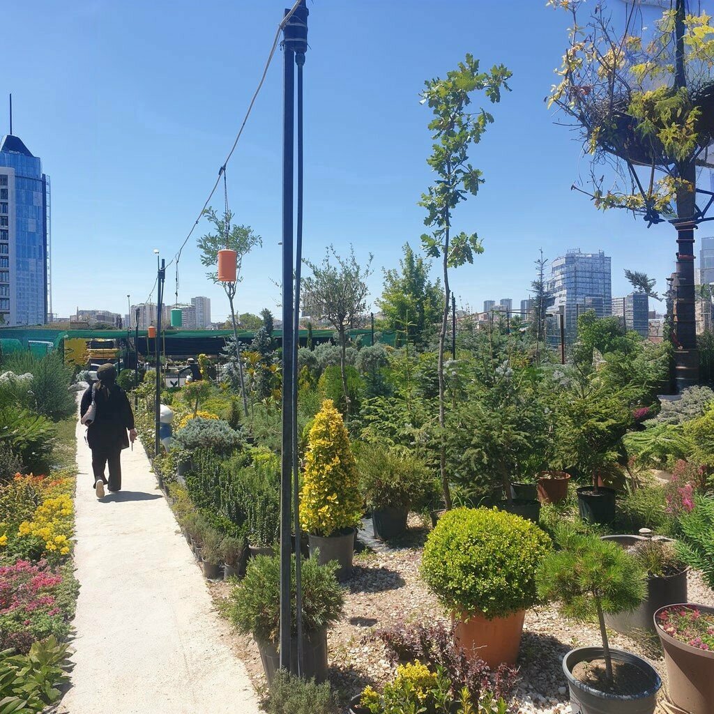 Peyzaj tasarımı Mm Ceylan Peyzaj, Ankara, foto
