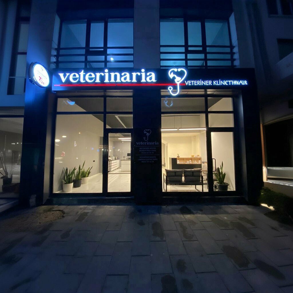 Veteriner klinikleri Veterinaria Kliniği, Adapazarı, foto