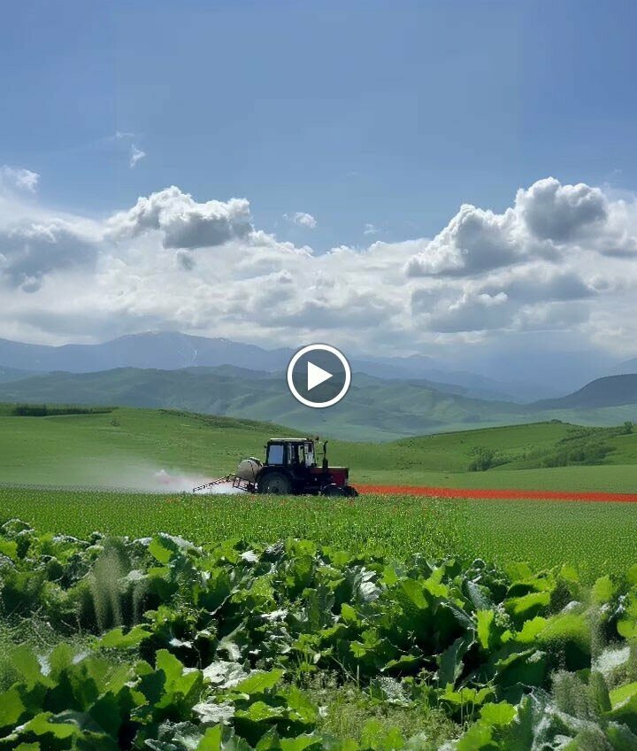 Taksi Şeker Tekke Taksi, Konya, foto