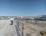 Hayvan Pazarı (Malatya, Yeşilyurt, Kiltepe Mah., Tutlu Sok.), hayvancılık  Malatya'dan