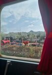 Karpet Tarım (Derbent Mah., Ankara Asfaltı Cad., Turgutlu, Manisa), tarım ürünleri firmaları  Turgutlu'dan