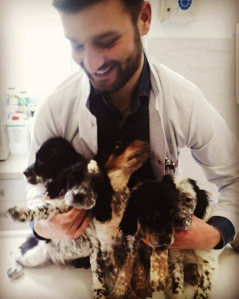 Veteriner klinikleri Öncü Veteriner Kliniği, Çorlu, foto