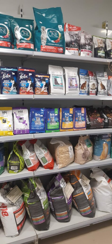 Petshop Kat & Dog, Riazan, foto