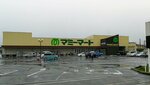 マミープラス柏根戸店 (Chiba Prefecture, Kashiwa), süpermarket