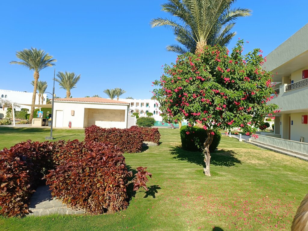 Restoran Castello Restaurant, Hurgada, foto