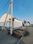 Zholbarys (Aqterek kóshesі No:81, Shymkent), spor kulüpleri  Çimkent'ten (Şımkent'ten)