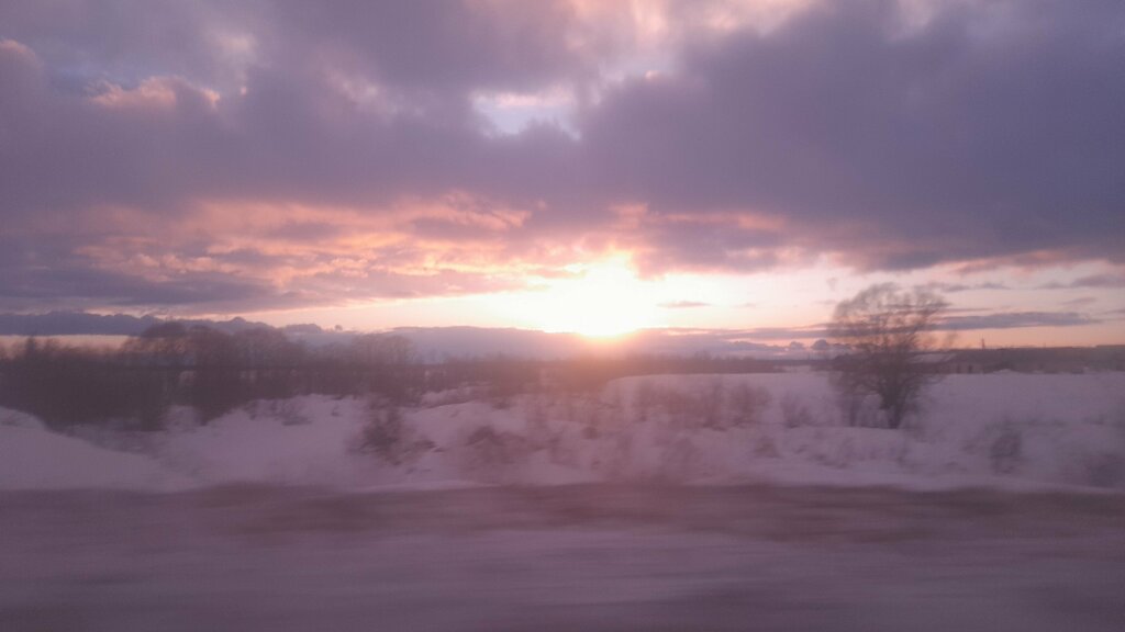 Çöp alanları Trash and garbage disposal area, Yaroslavskaya oblastı, foto