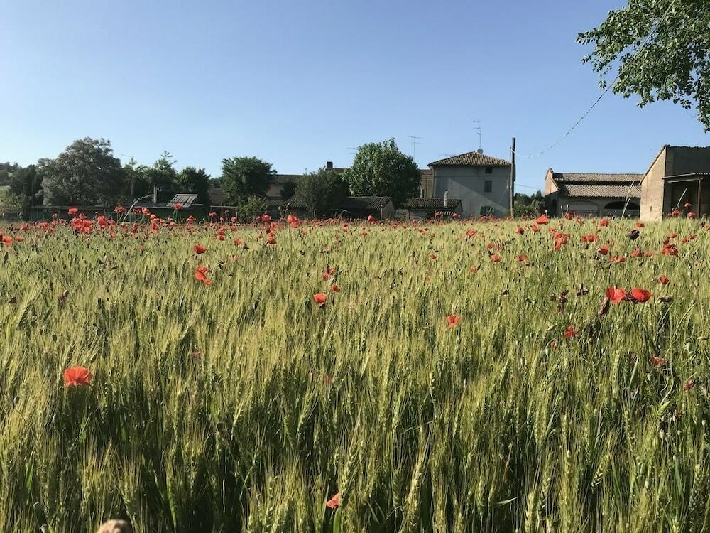 Otel Tra i Campi Di Papaveri, Emilia‑Romagna, foto