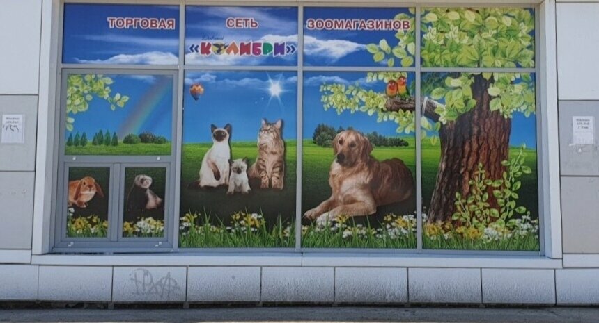 Petshop Дивный Колибри, Syktivkar, foto