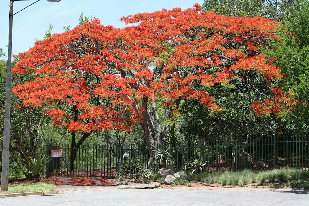 Otel Birds Babble Self Catering Guest House, Mbombela, foto