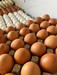 Яйцо (Pridorozhnaya ulitsa No:28А, posyolok Otradnoye), market  Voronejskaya oblastından