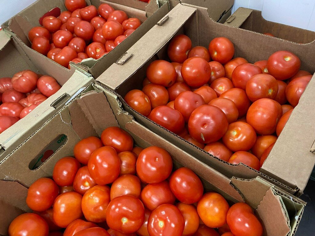 Toptan sebze ve meyve satışı Овощи и Фрукты, Lipetsk, foto