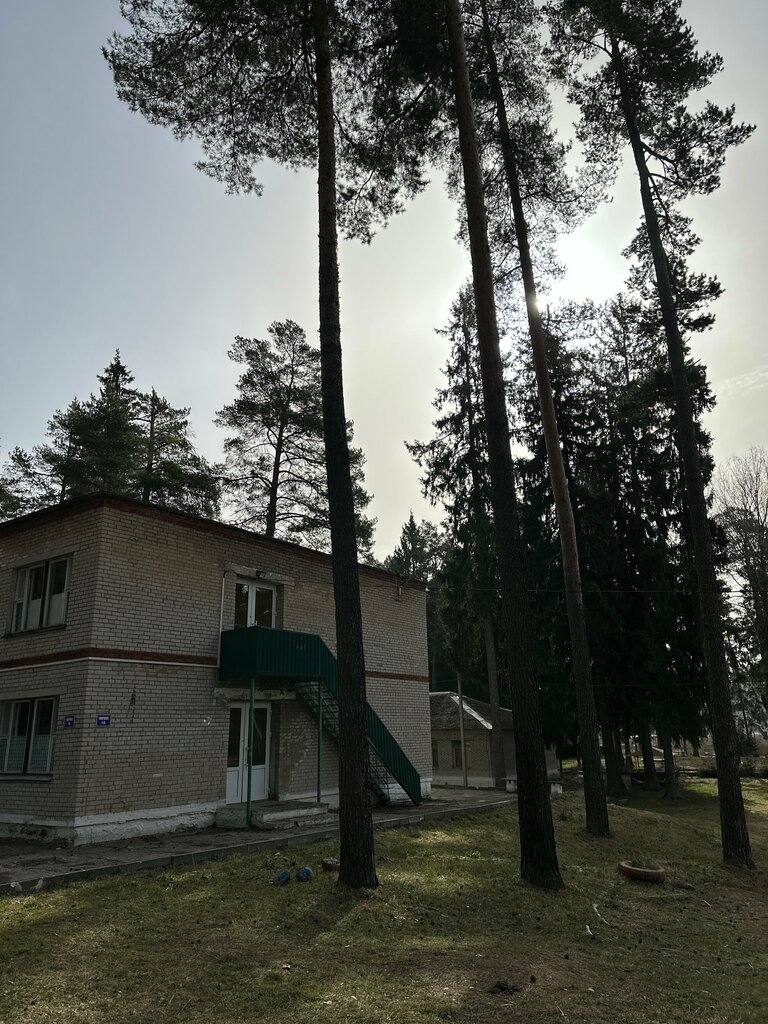 Yaz kampı Оздоровительный лагерь Березка, Vitebskaya oblastı, foto