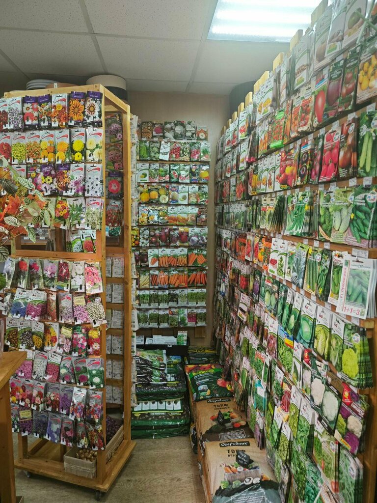 Tohum satan yerler Грабля, Moskova ve Moskovskaya oblastı, foto