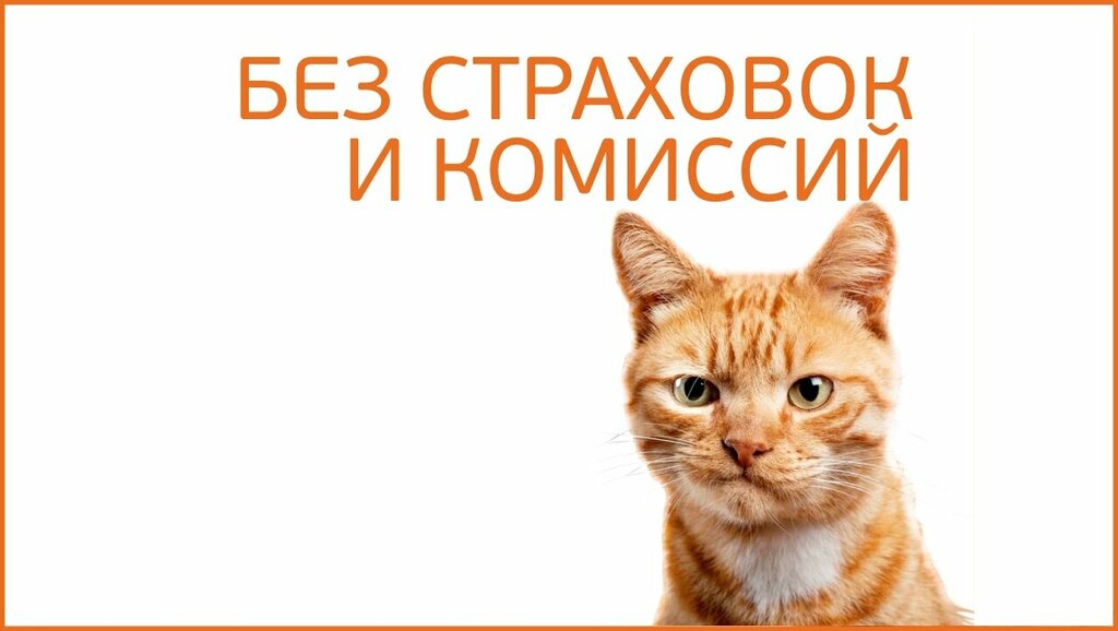 Mikrofinans FastFinance, Volgograd, foto