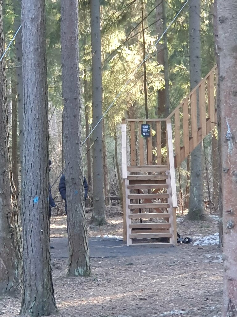 Yönetim ofisi Администрация лесопарка, Moskova ve Moskovskaya oblastı, foto