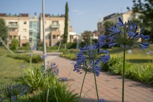 Rosmini Serbati (Emilia-Romagna, Rimini, Bellaria-Igea Marina, Via Antonio Rosmini, 11), otel  Emilia‑Romagna'dan