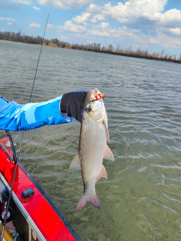 Resort oteller, tesisler Дом отдыха, Astrahanskaya oblastı, foto