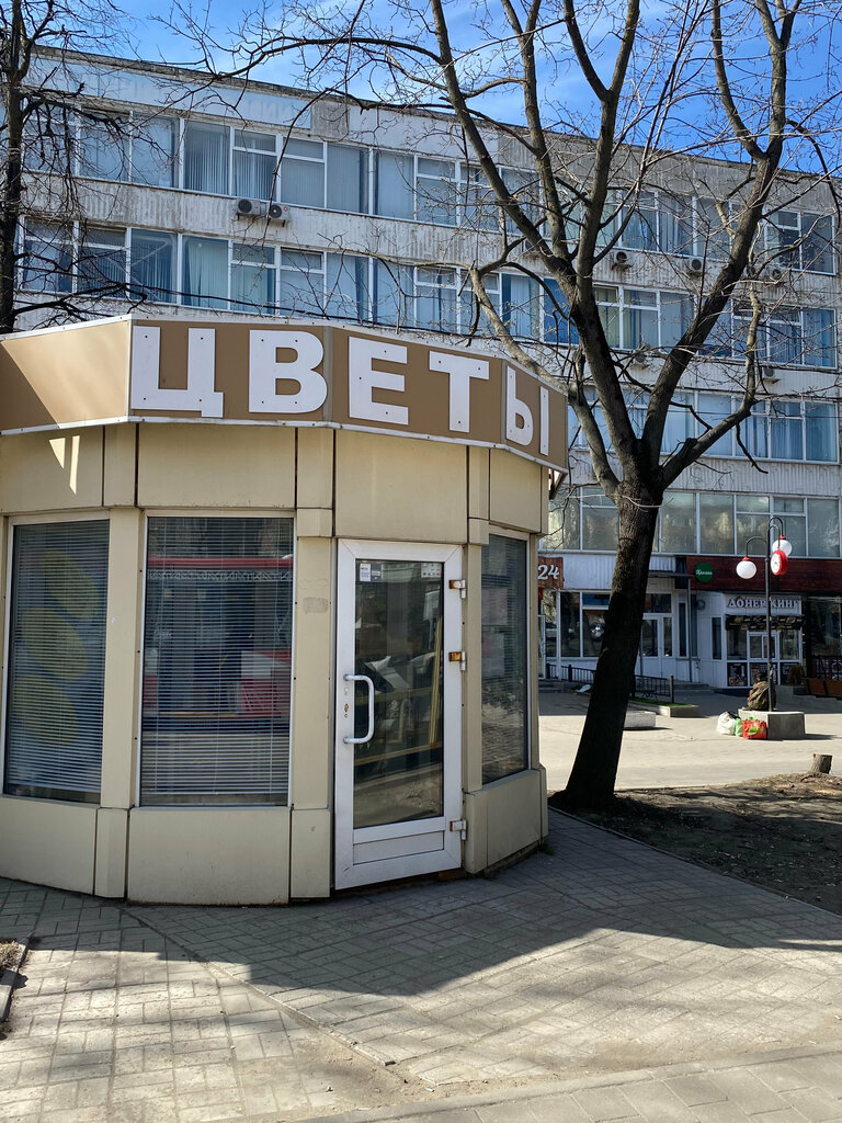 Çiçekçiler MIXflo, Tula, foto