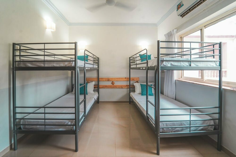 Otel Piggy Hostel Arambol, Goa, foto
