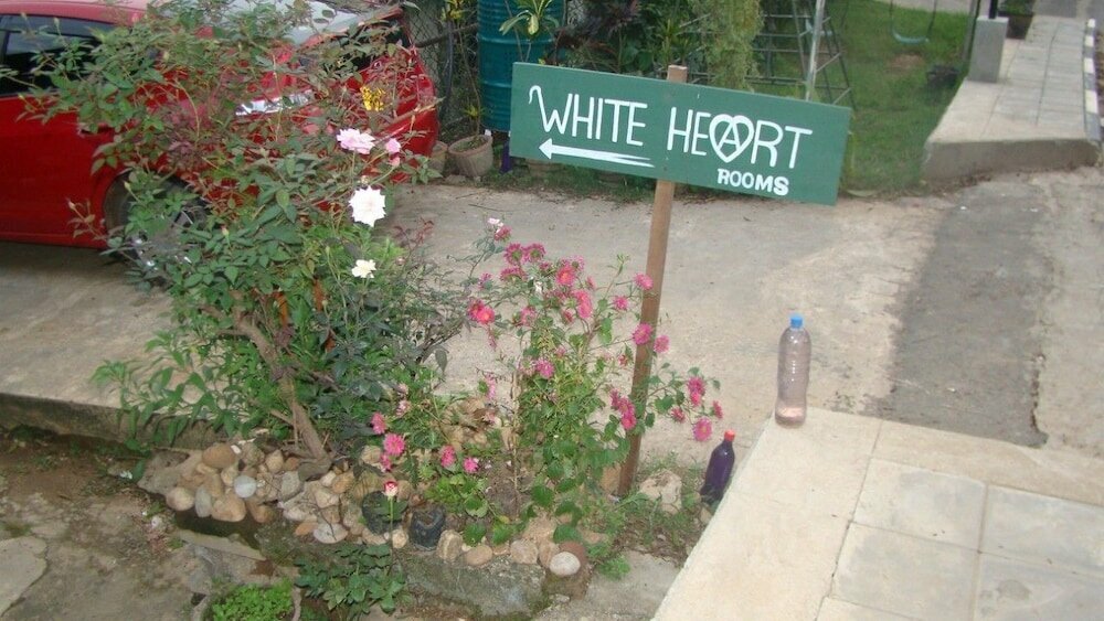 Otel White Heart, , foto