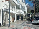 Левша (Zvyozdnaya Street No:14), spor kulüpleri  Soçi'den