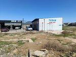 Turan (Shymkent, Turan yqsham aýdany), halı yıkamacılar  Çimkent'ten (Şımkent'ten)