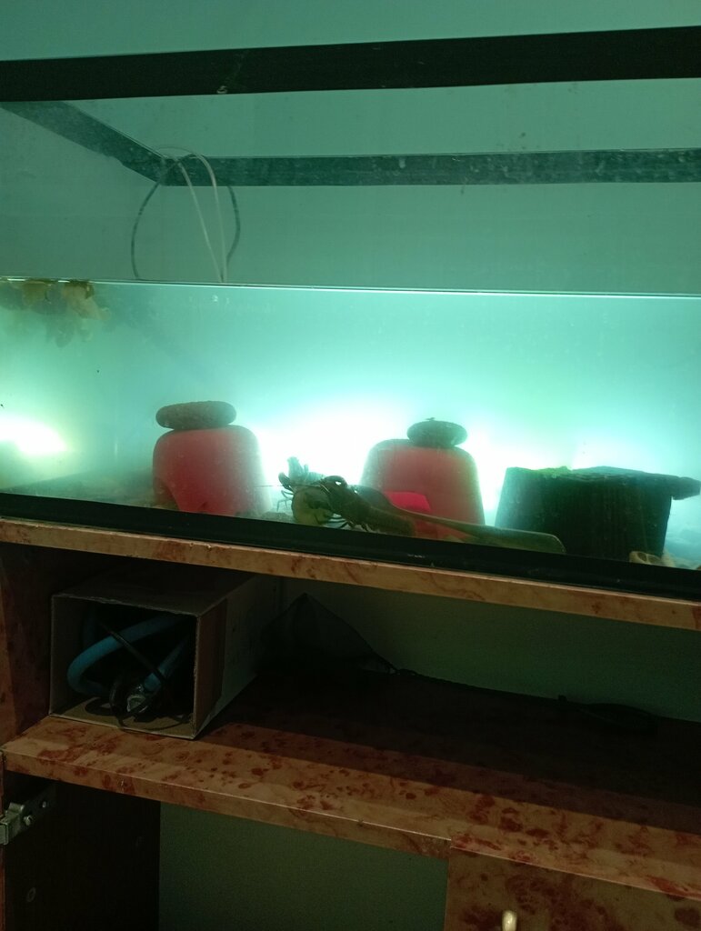 Geri dönüşüm maddeleri Gorodskoy ekologichesky kompleks, Kamensk‑Uralski, foto