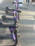 E-motion (Sevastopol, Oktyabrskoy Revolutsii Avenue), scooter kiralama  Sevastopol'dan