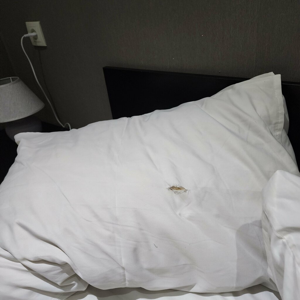 Otel Hotel Lux, Tiflis, foto