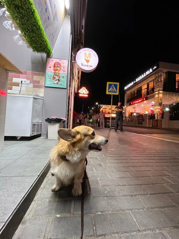 Al götür kahve Коржик, Aluşta, foto