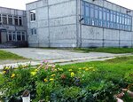 Secondary comprehensive school (Shkolnaya ulitsa No:13, derevnya Vaskino), ortaokul  Sverdlovskaya oblastından