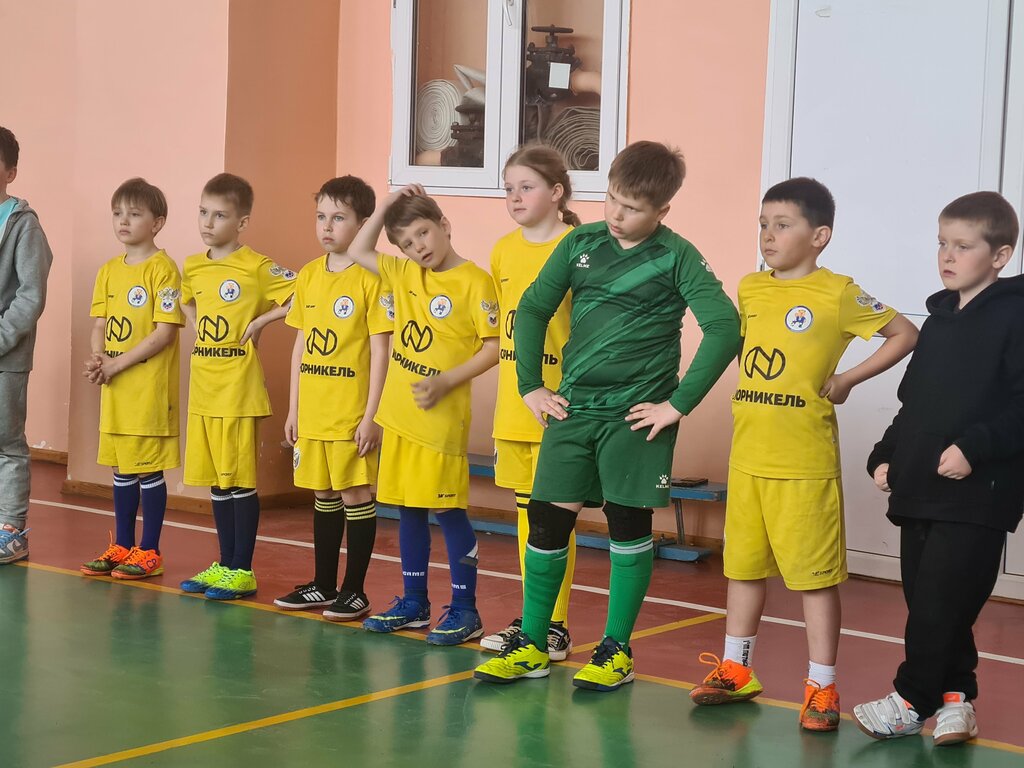 Kültür ocakları Mku Sko Borovskoye imeni V. S. Yegorova, Novosibirskaya oblastı, foto