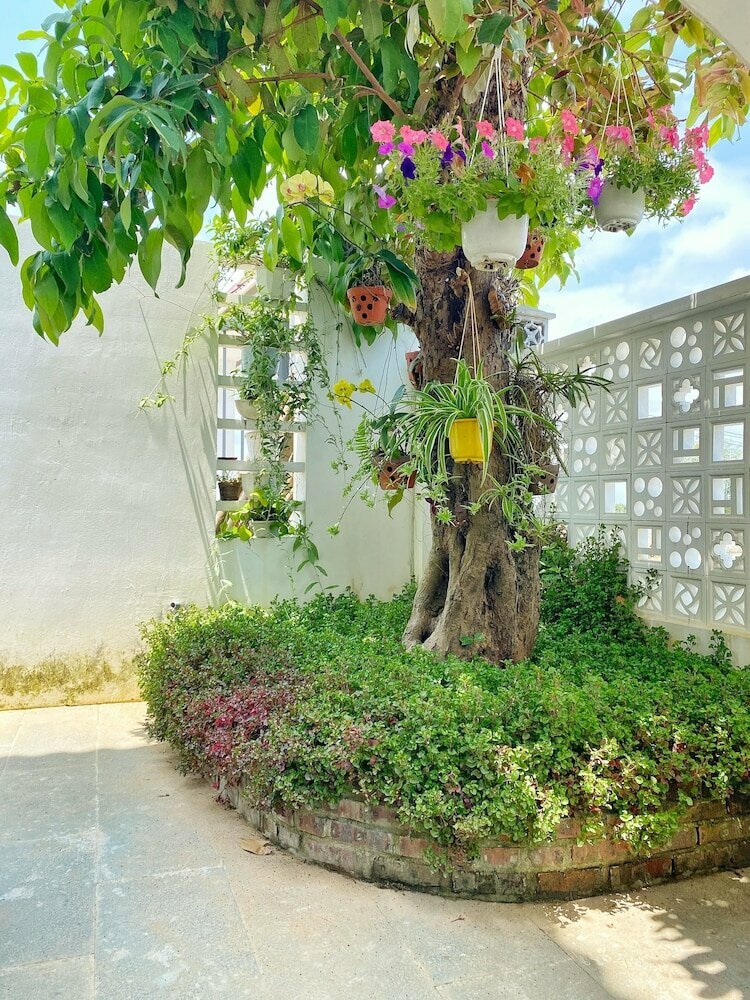 Otel Hoi An Cabbage Garden, Hoi An, foto