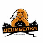 Decibelka (Yuzhnaya Street No:7), oto alarm sistemleri  Syktivkar'dan