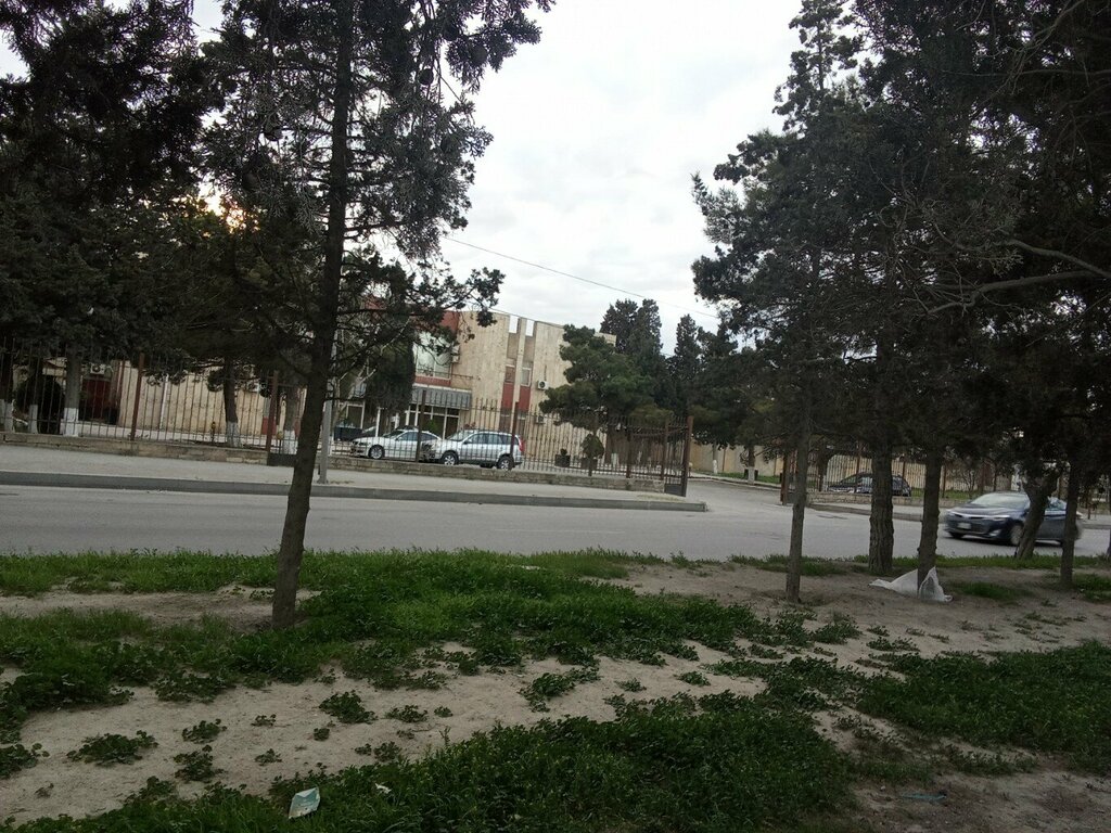 Lise Professional Lyceum № 13, Bakü, foto