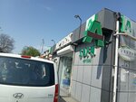 Shefa apteki (City of republican subordination Baku, Kesle Settlement, Pushkin Street, 21), eczaneler  Azerbaycan'dan