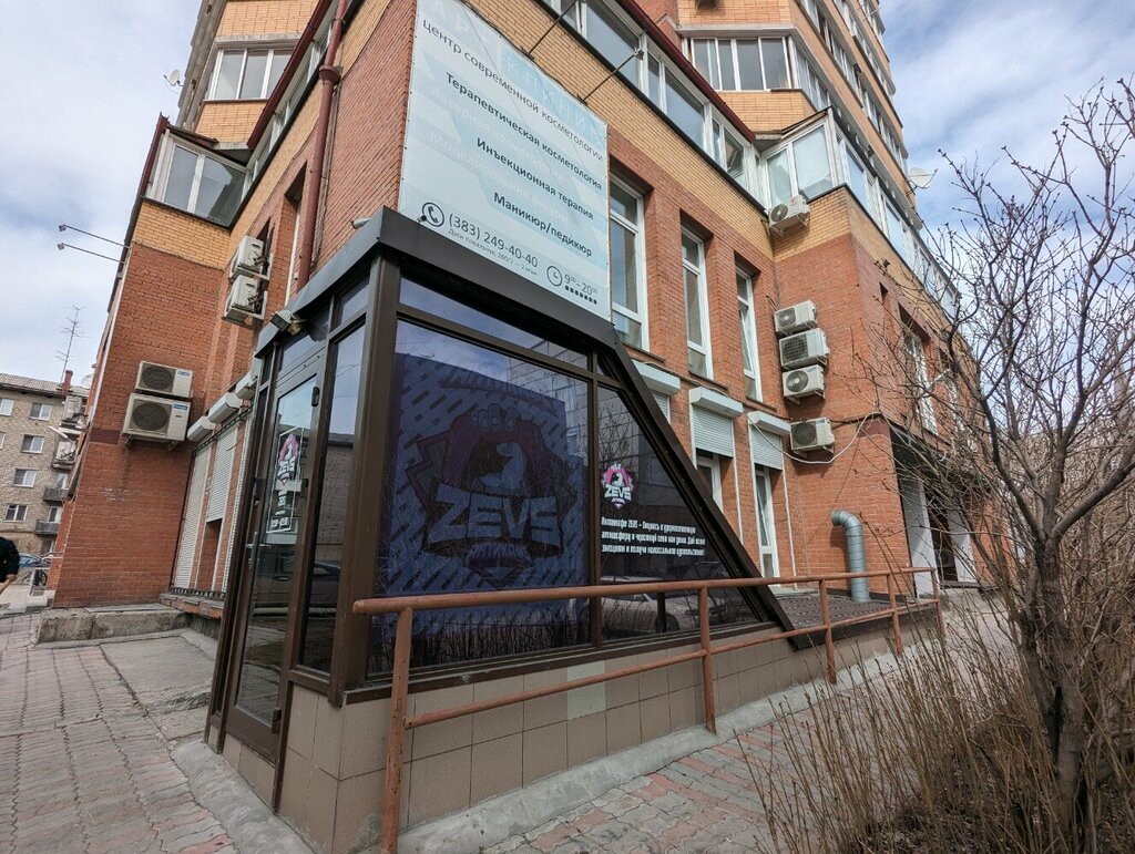 Antikafe Zevs, Novosibirsk, foto
