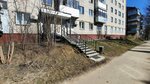 Альфа (Demidova Street No:15), muhasebeciler  İvanovo'dan